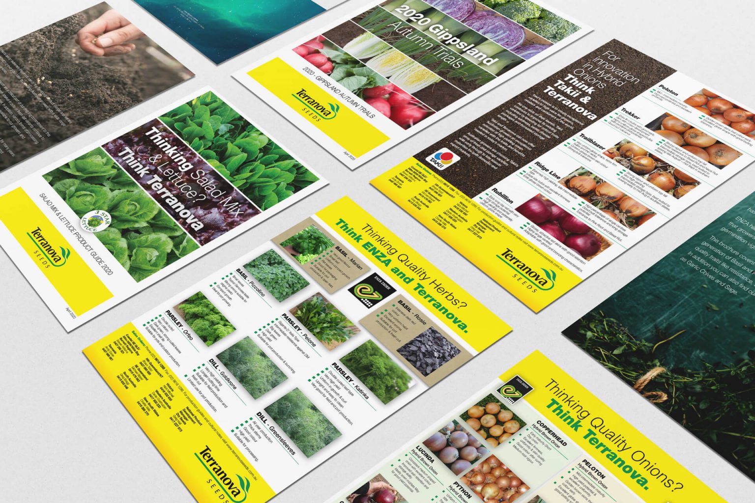 mobius marketing & design | brand communicators